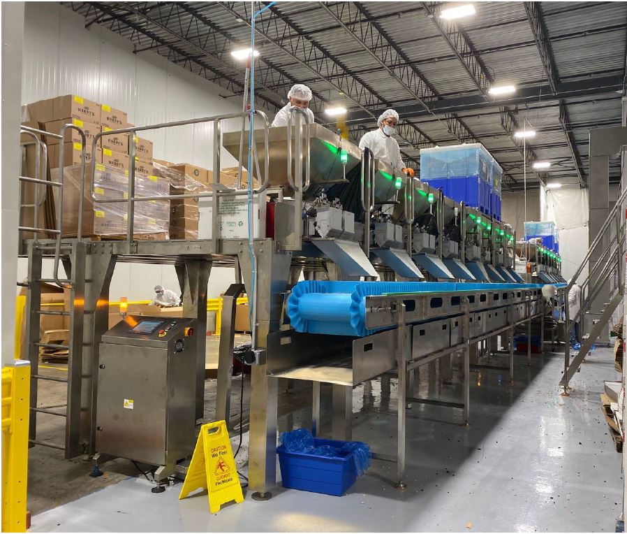 Blending and Mixing Systems - SEVVALUSA